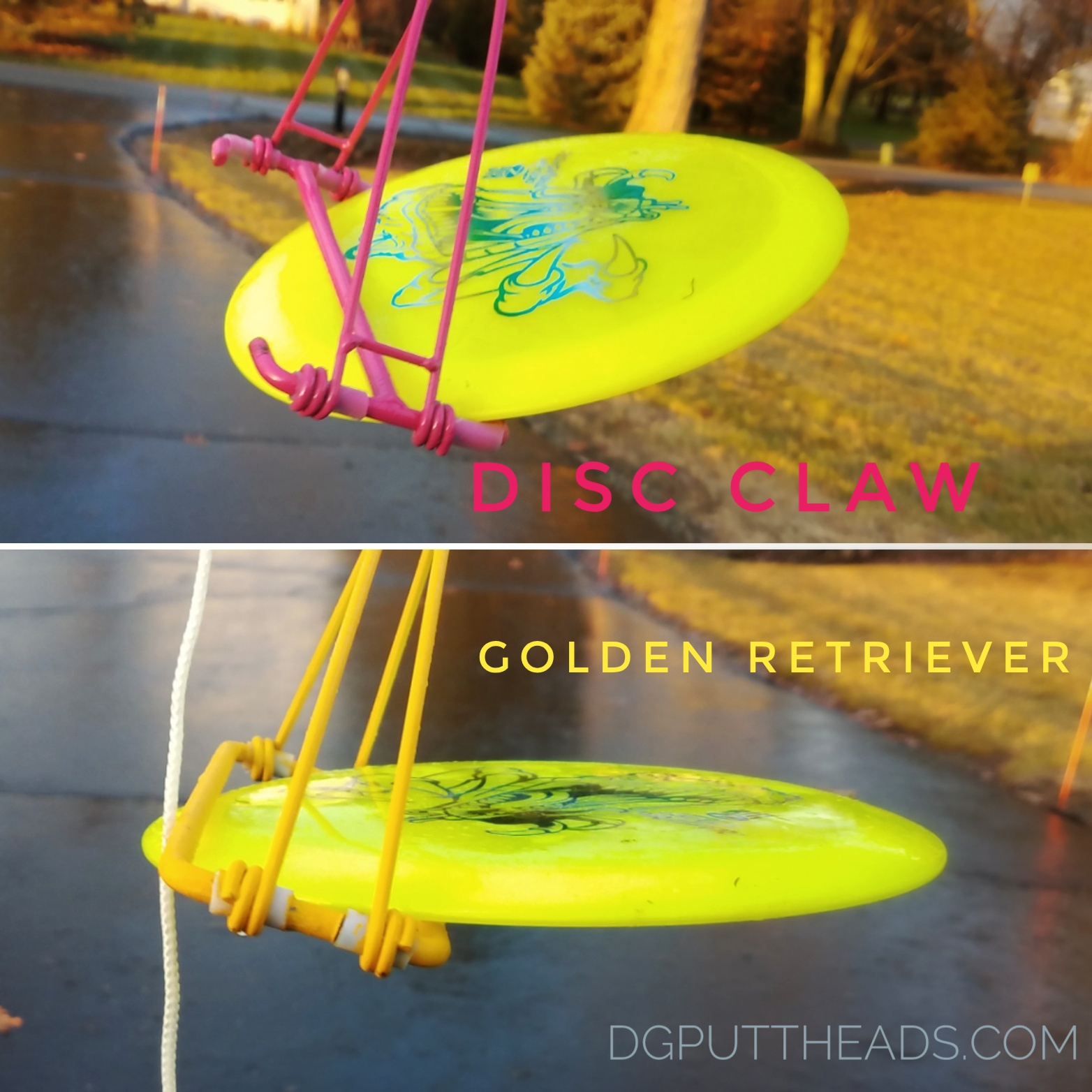 Best Disc Golf Disc Retriever - Disc Golf Puttheads